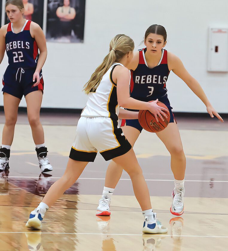 Rebel girls fall to Wolverines 69-28 | News, Sports, Jobs - Faribault ...